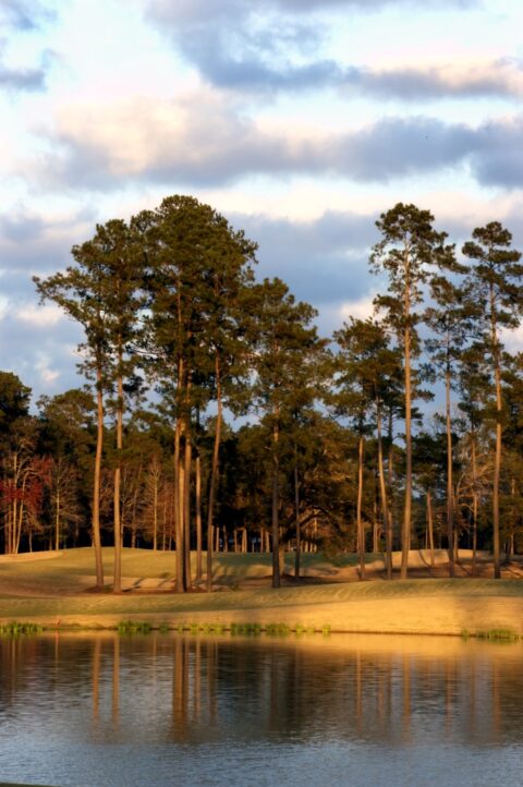 Course Details - Carter Plantation Golf Resort
