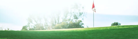 Course Details - Carter Plantation Golf Resort